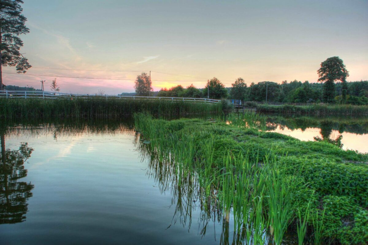 lowisko-grobla-kluki – Łowiska w Polsce